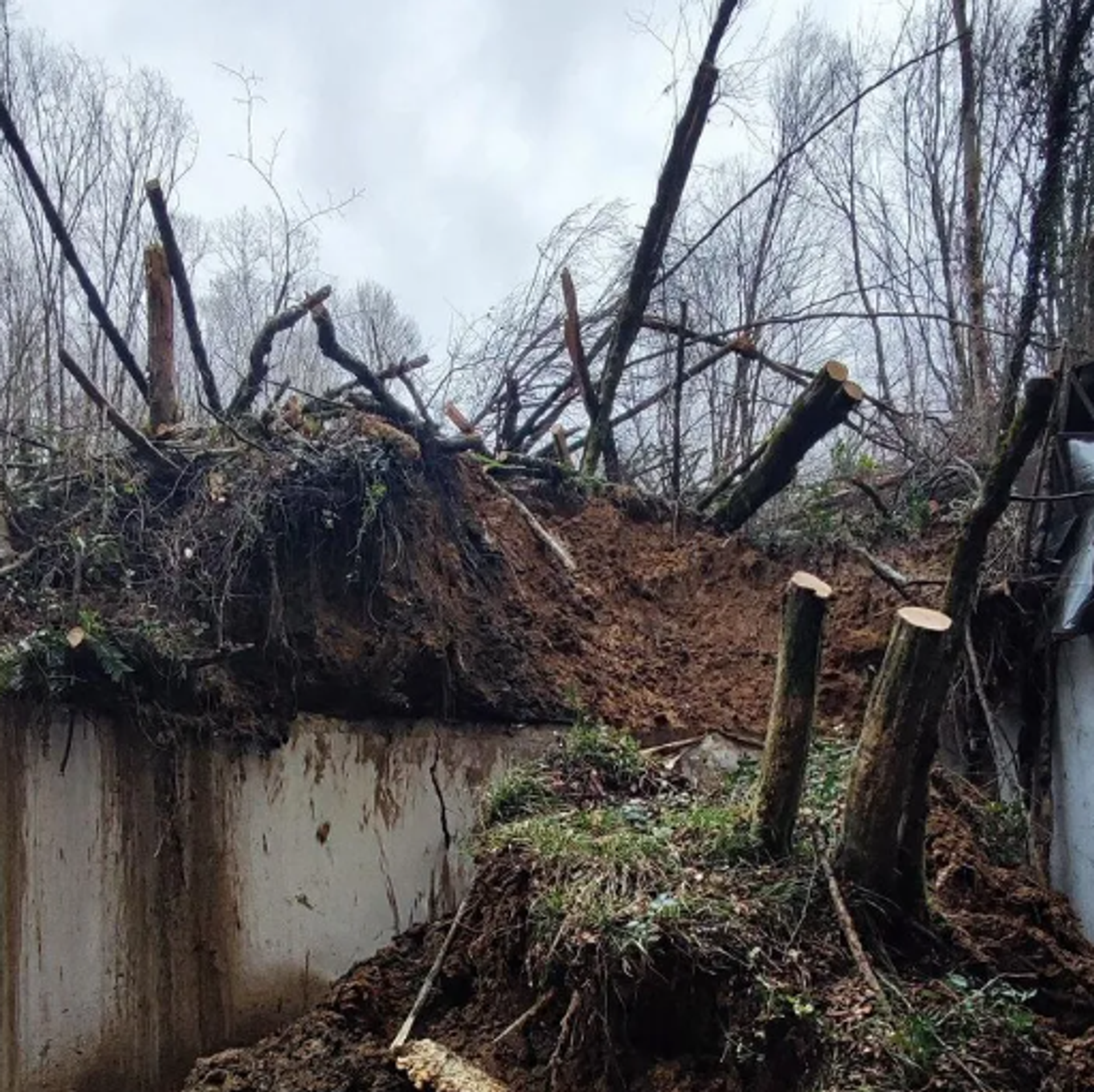 В Адлере на многоэтажку движется оползень, жители просят о помощи ...