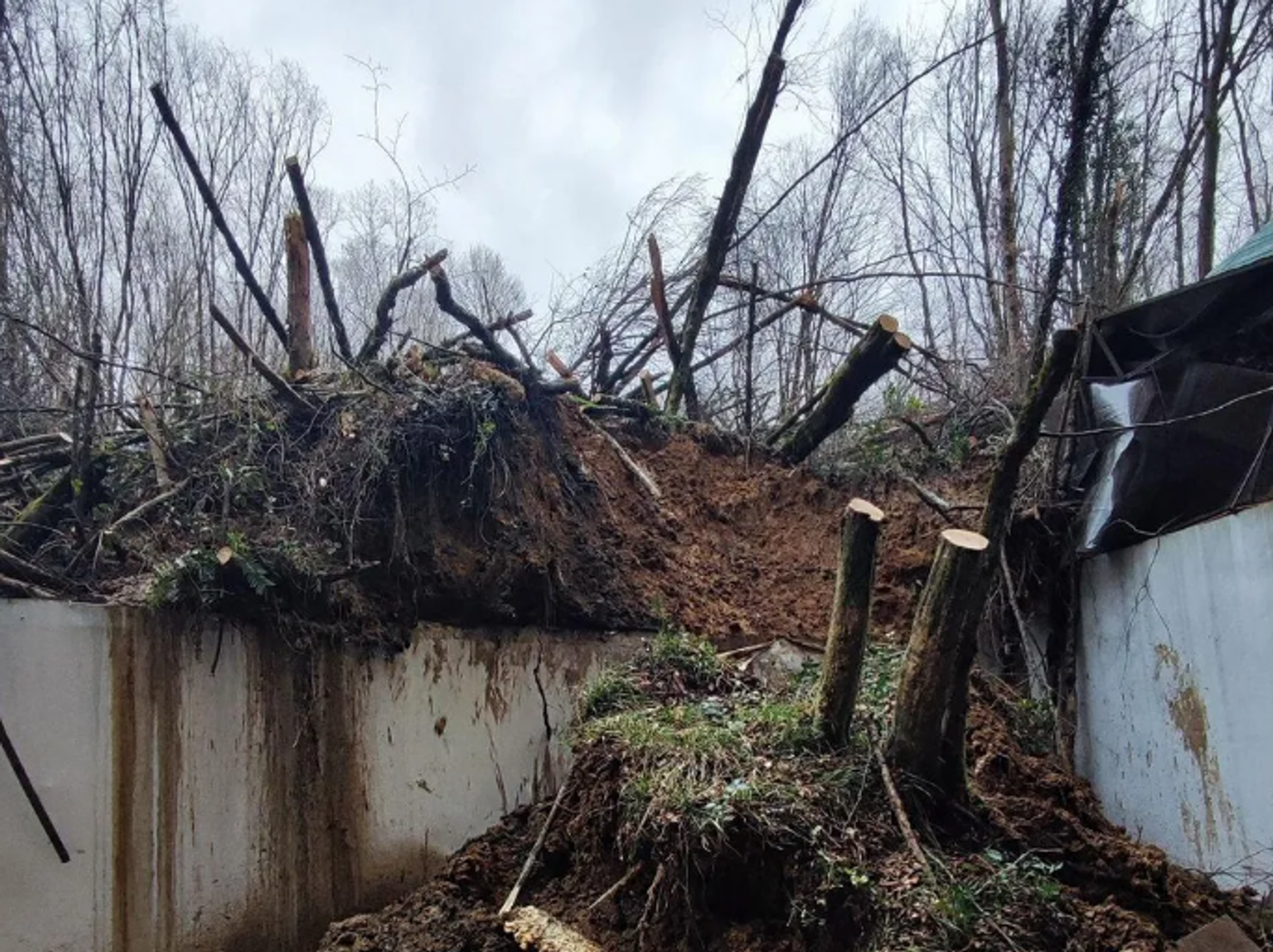В Адлере на многоэтажку движется оползень, жители просят о помощи ...