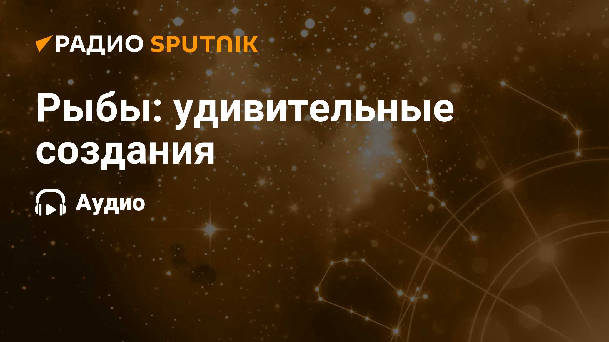 Рыбы: удивительные создания - Радио Sputnik, 02.03.2024