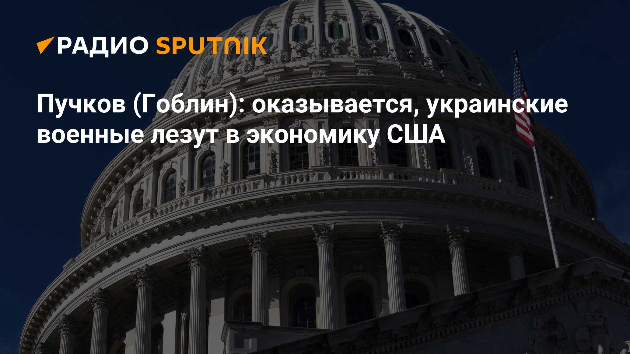 Пучков (Гоблин): оказывается, украинские военные лезут в экономику США - Радио Sputnik, 22.03.2024