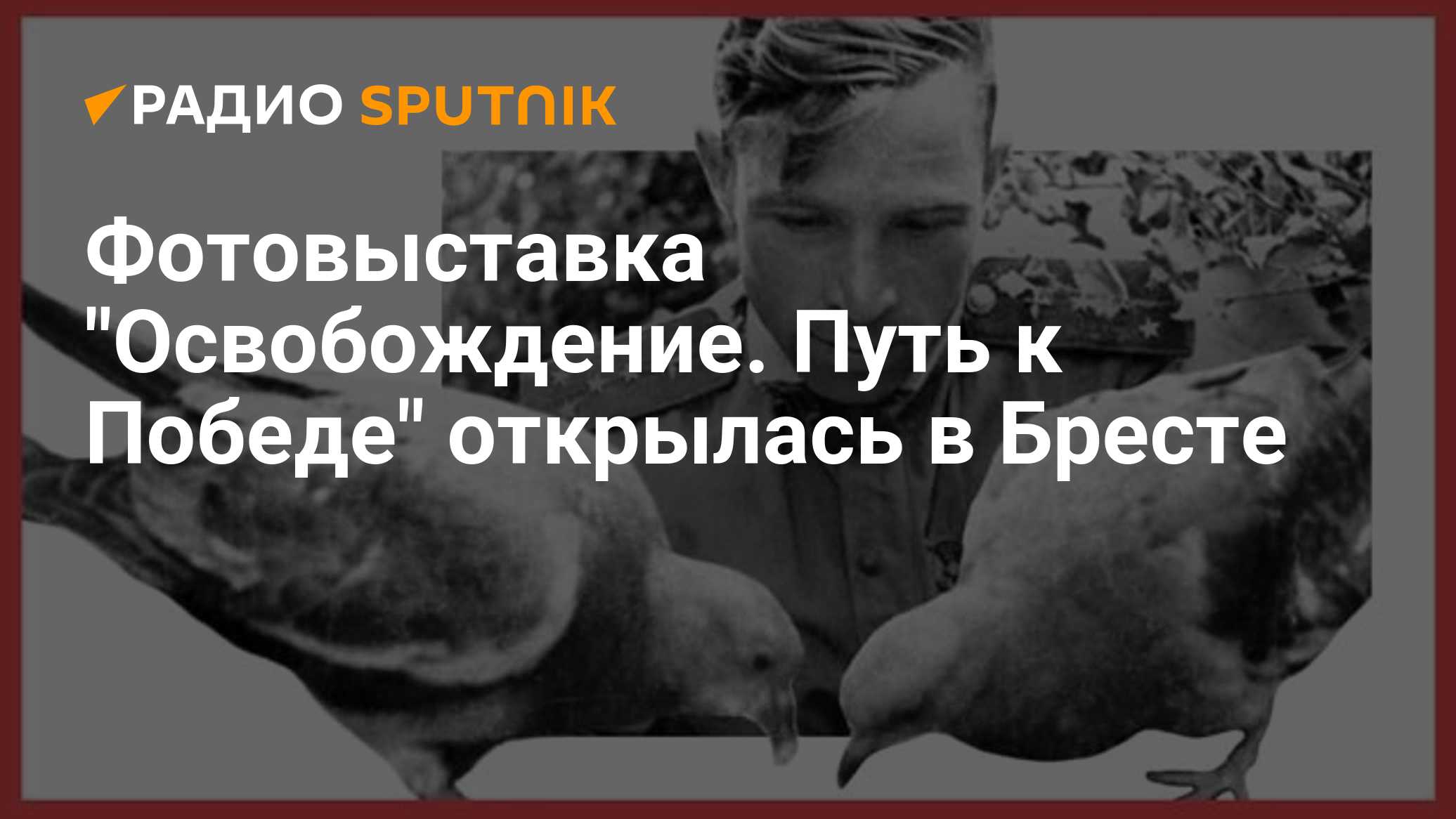 Фотовыставка "Освобождение. Путь к Победе" открылась в Бресте - Радио ...