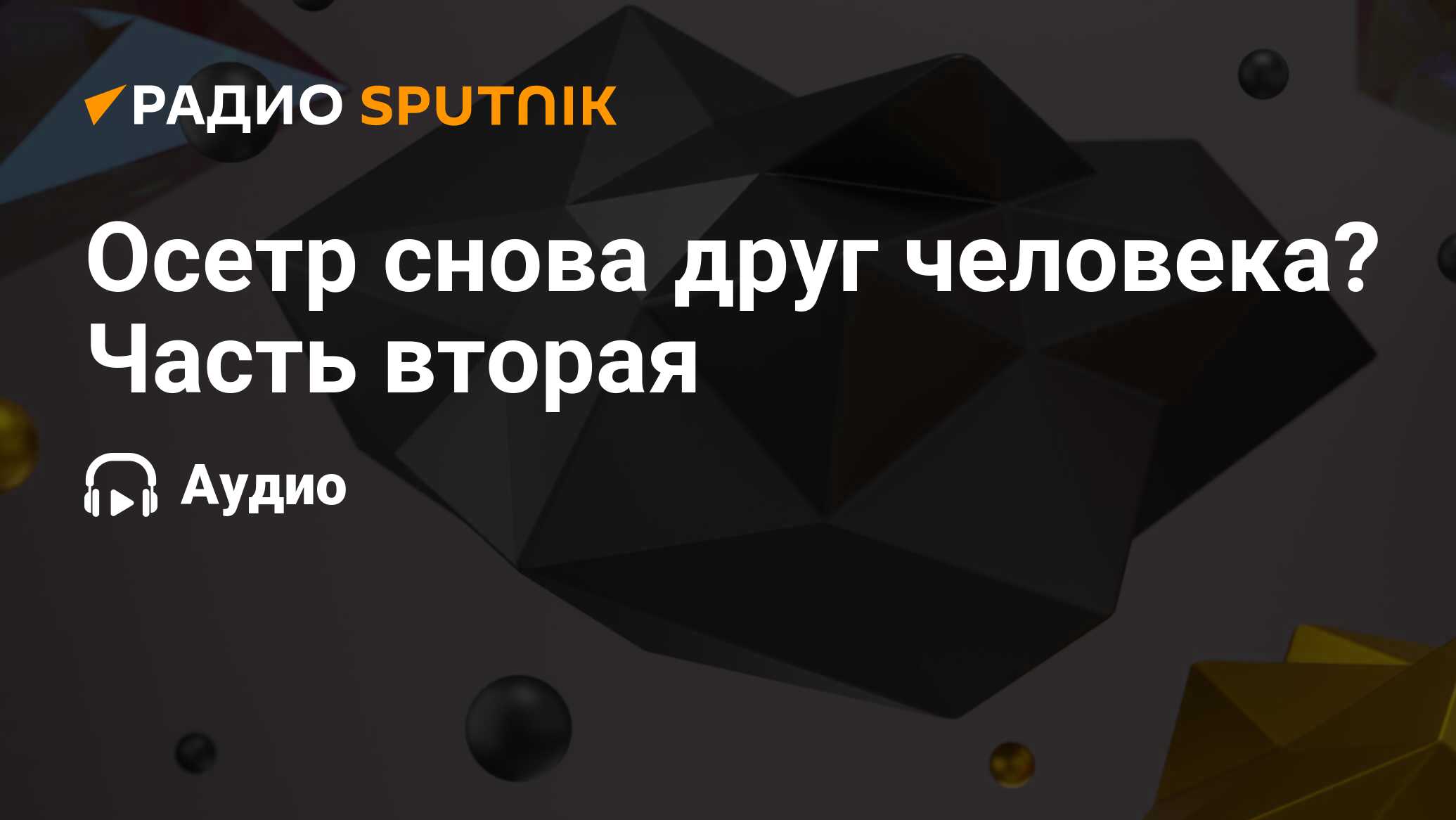 Осетр снова друг человека? Часть вторая - Радио Sputnik, 14.10.2024