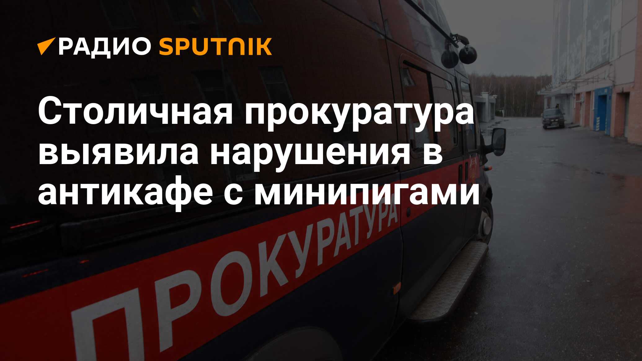 Столичная прокуратура выявила нарушения в антикафе с минипигами - Радио Sputnik, 22.02.2025