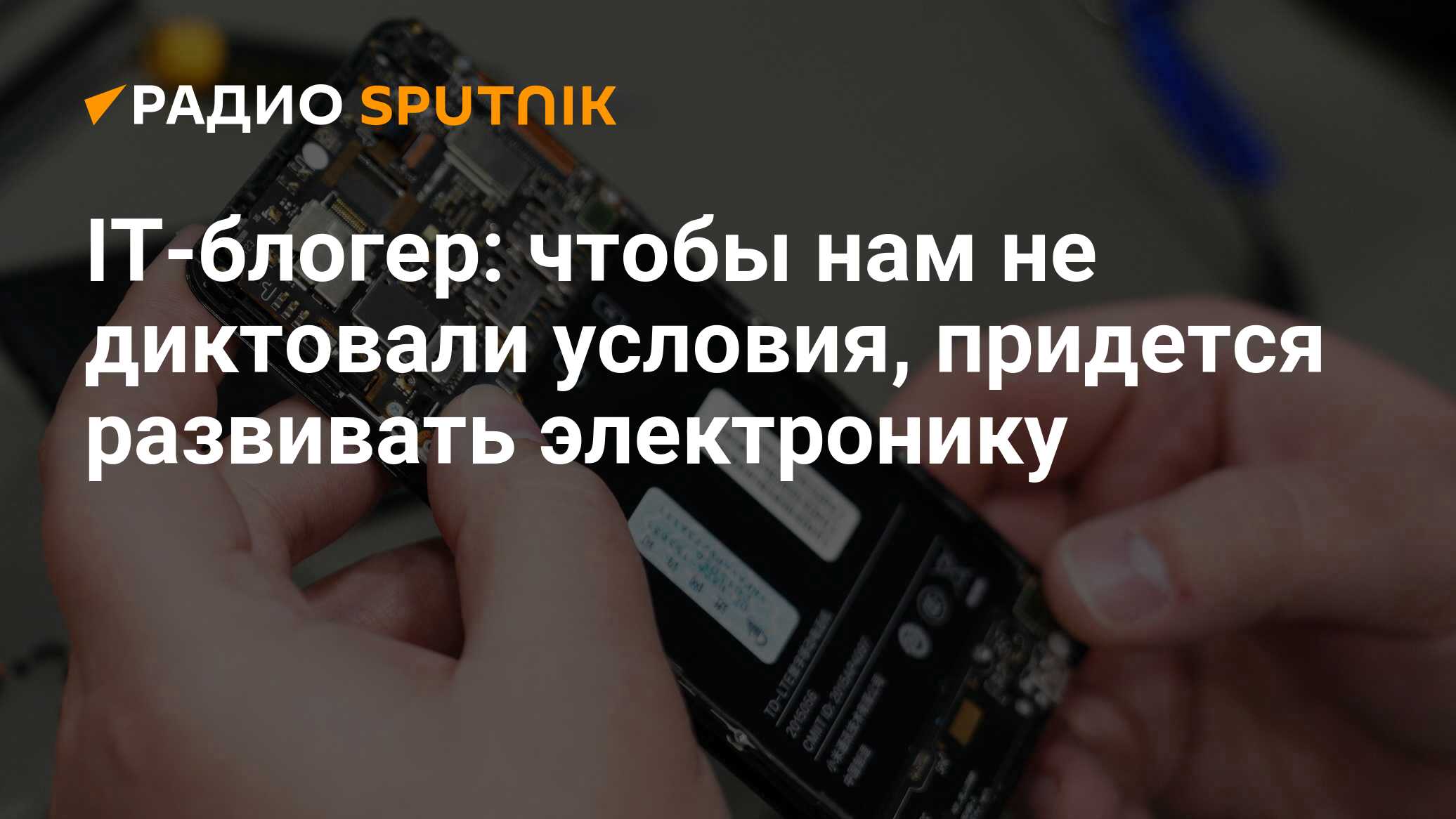 IT-блогер: чтобы нам не диктовали условия, придется развивать ...
